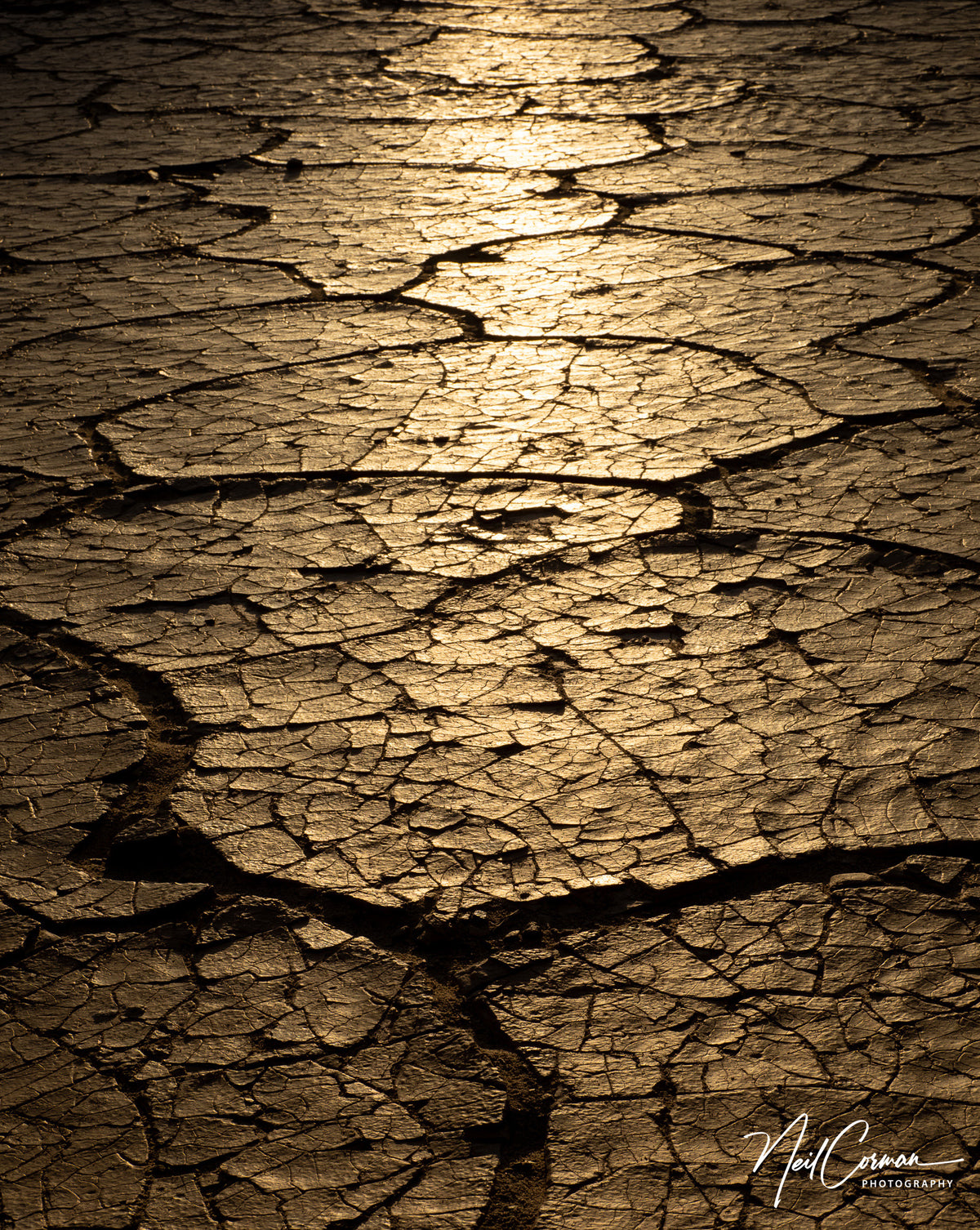 Sunrise Shapes – Neil Corman Photography